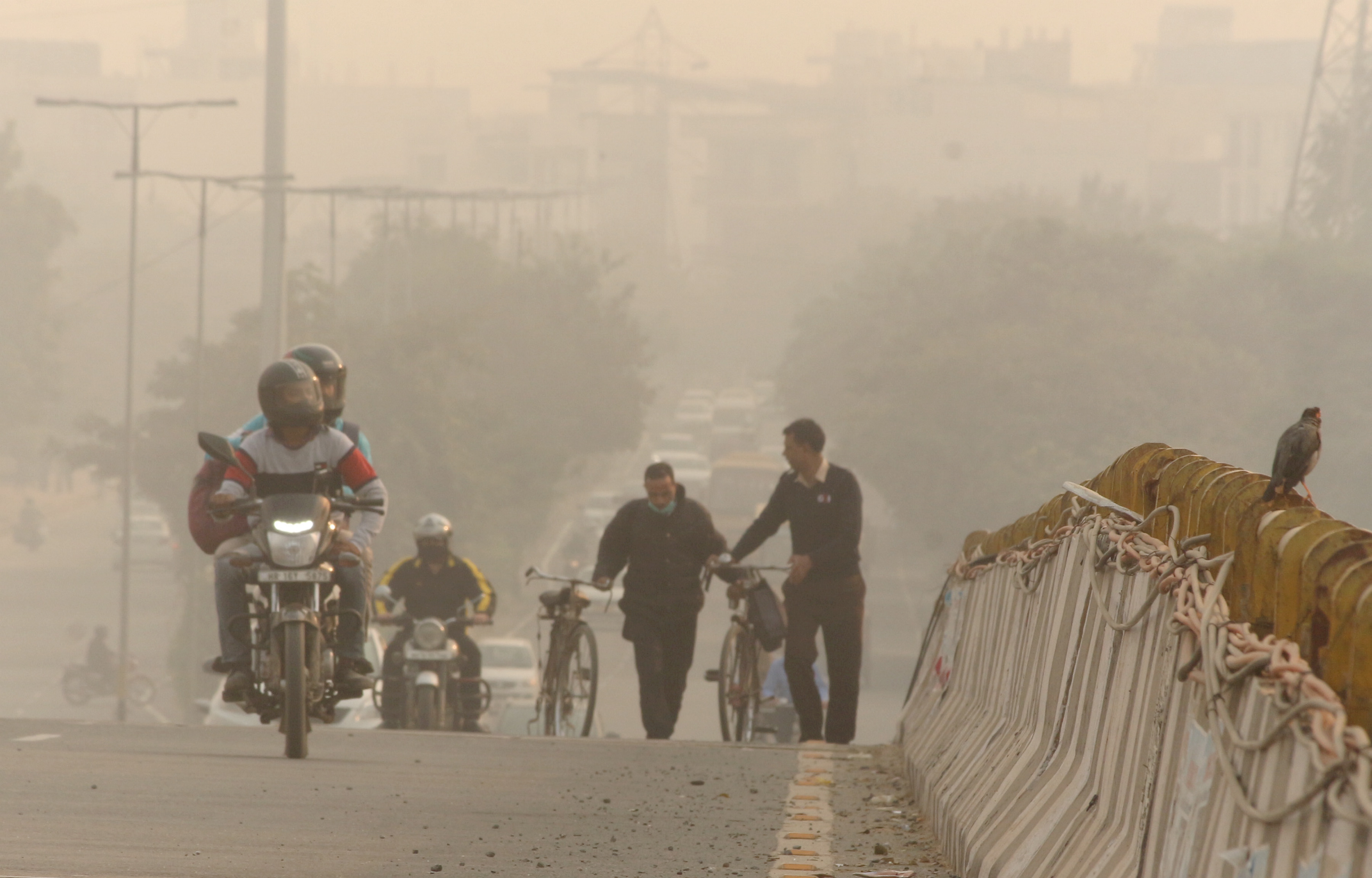 Press Trust Of India